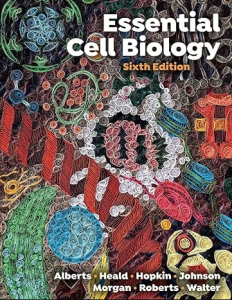 Essential Cell Biology 6th Edition PDF – Instant eBook Mart